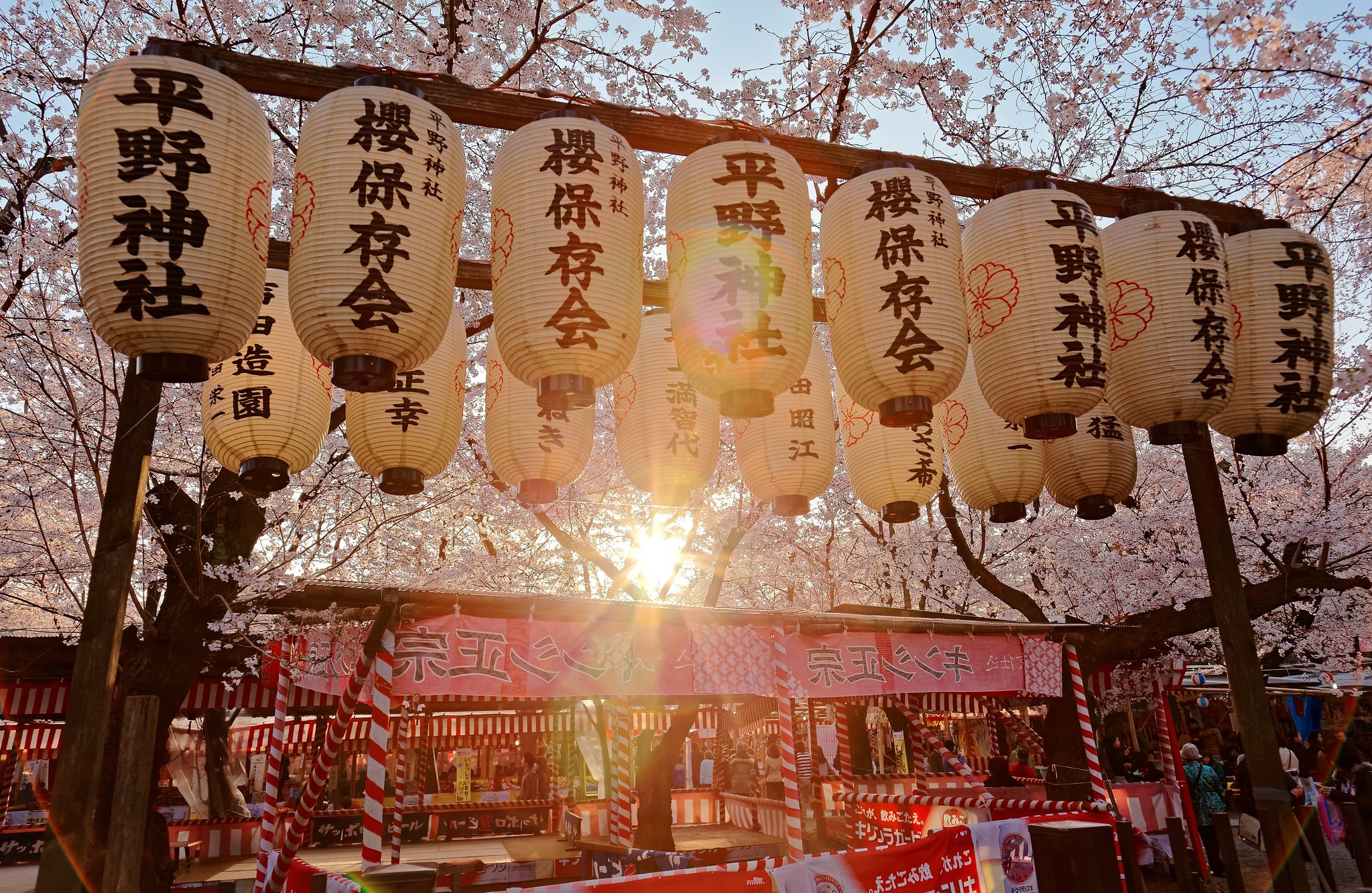 Japanese Lanterns In Japanese Language Learn Vocabulary | Japanese