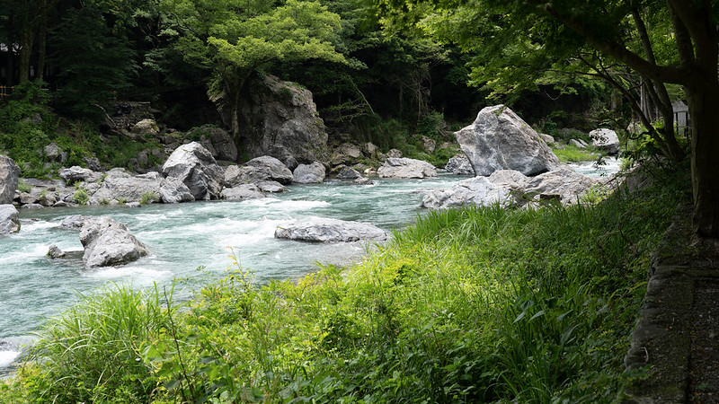 Exploring the Tama River | KCP International Japanese Language School