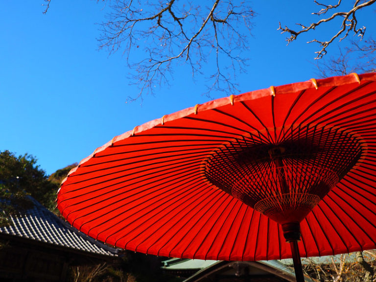 Wagasa : Traditional Japanese Umbrellas | KCP International