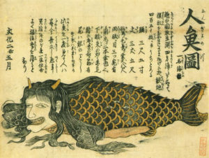 The Folklore of Japanese Mermaids | KCP Japanese Language School
