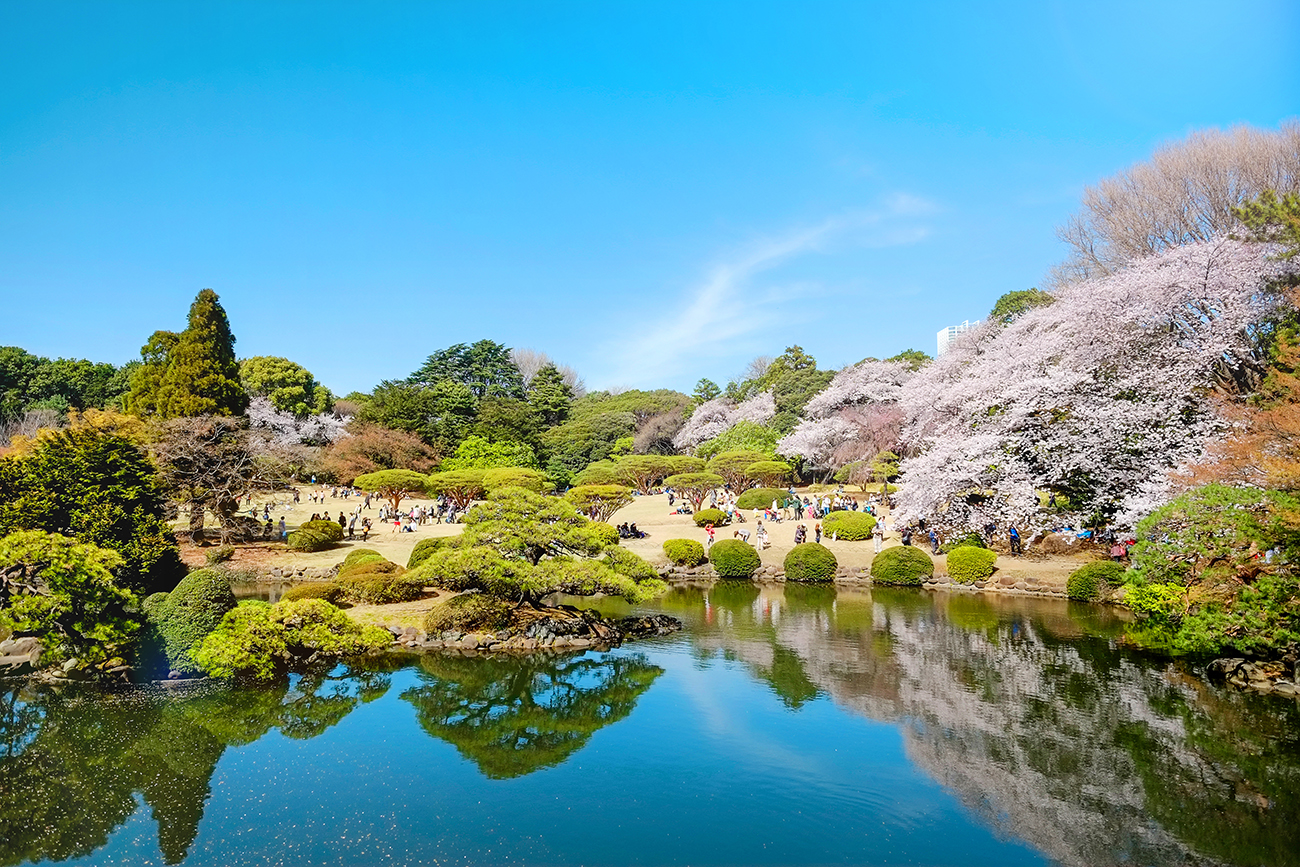 Japan Travelogue Series: Shinjuku Gyoen | KCP International