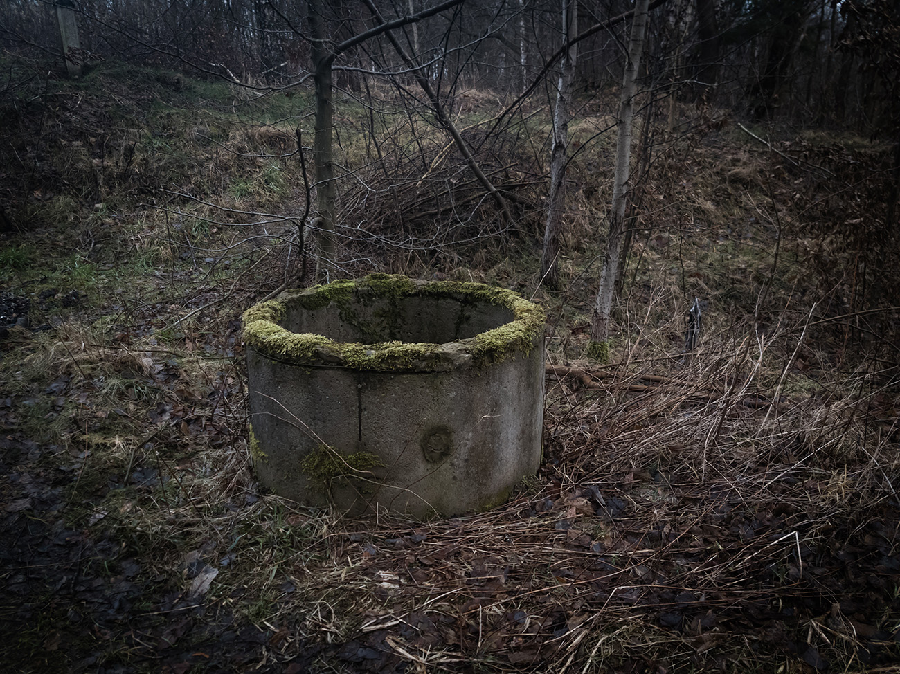 The Story Behind the Horror Flick “Ringu” | KCP International