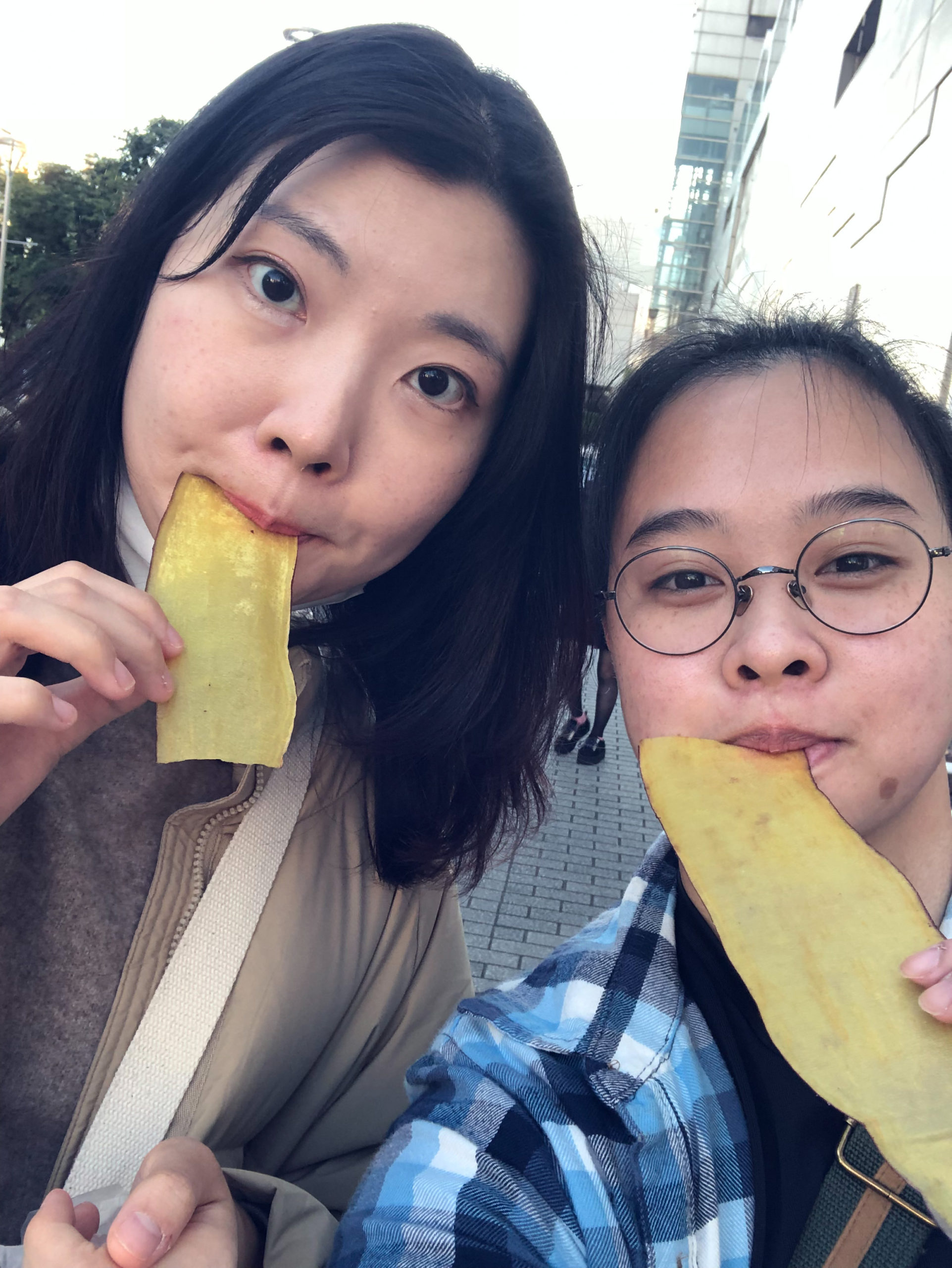 Maeve and Her Adventures in Japan | KCP International