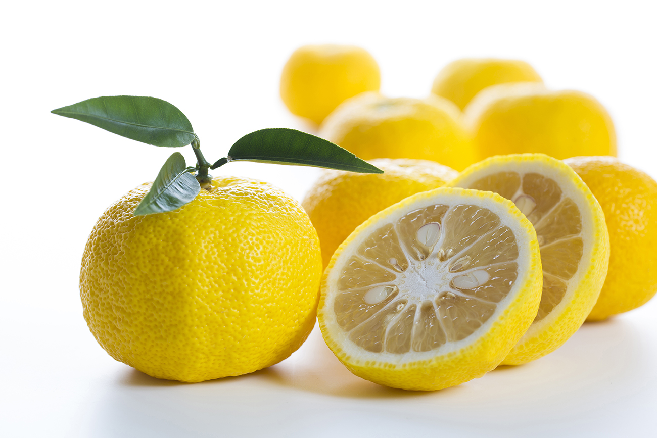 The Multifaceted Yuzu for Winter | KCP International