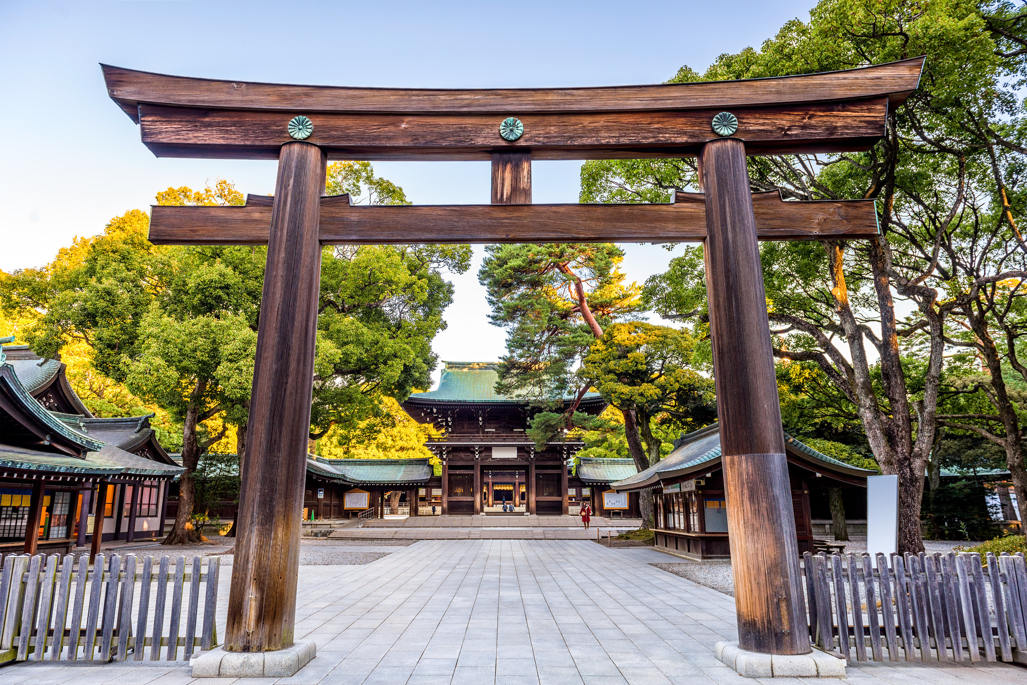 What’s Behind Shinto Shrines in Japan | KCP International