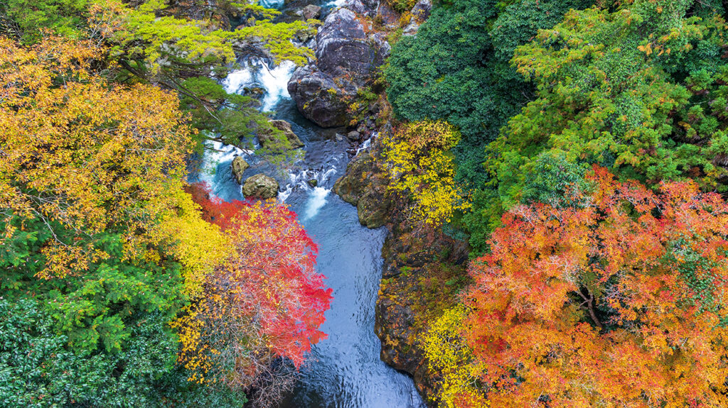 Daytrips to Enjoy from Tokyo in Autumn | KCP International