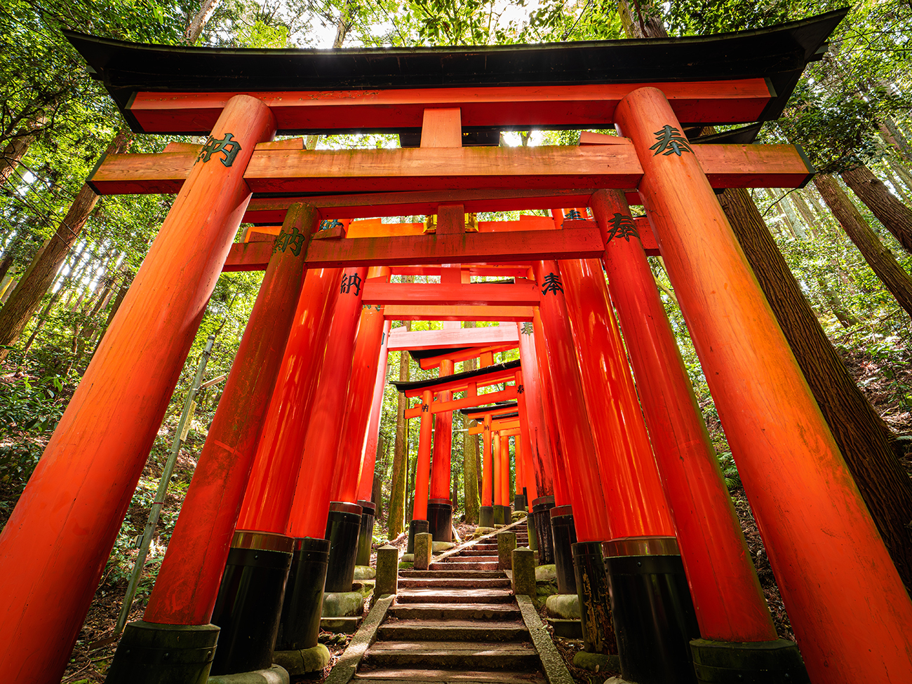 5 Must See Places in Japan | KCP Japanese Language School